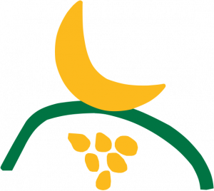 Pieve di Soligo - App Gal